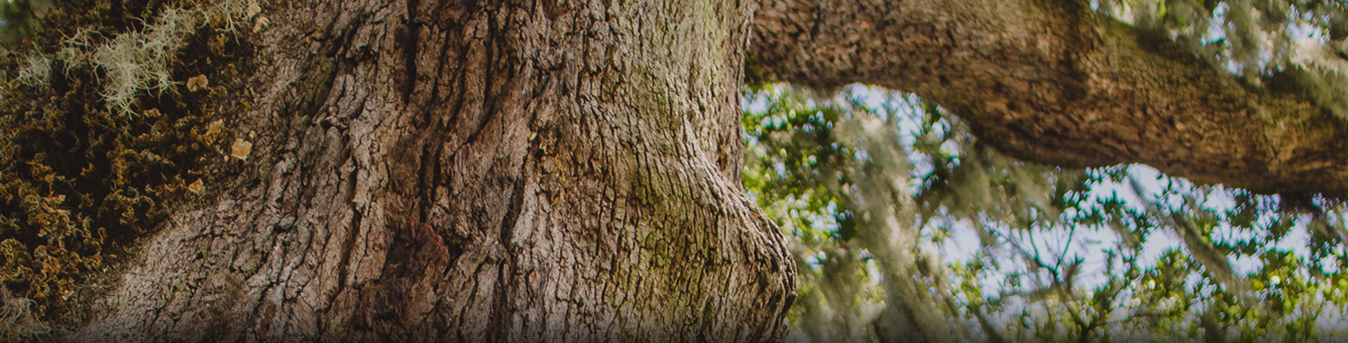 Town of Brusly | Brusly, Louisiana Government & Events